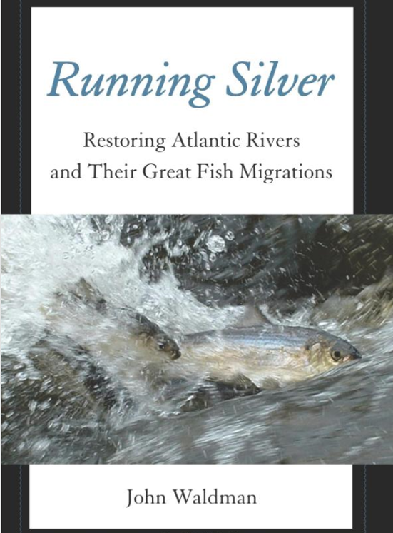 Restoring the Great Fish Migrations of Atlantic Rivers with John ...