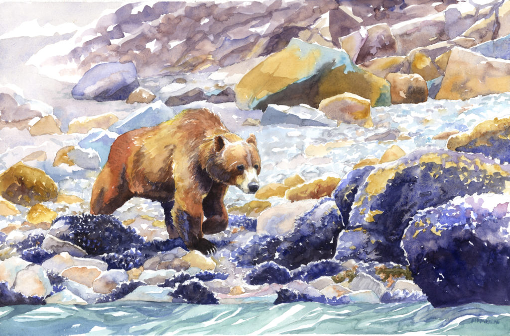 An Artist’s View of Glacier Bay National Park – with Michael Boardman ...