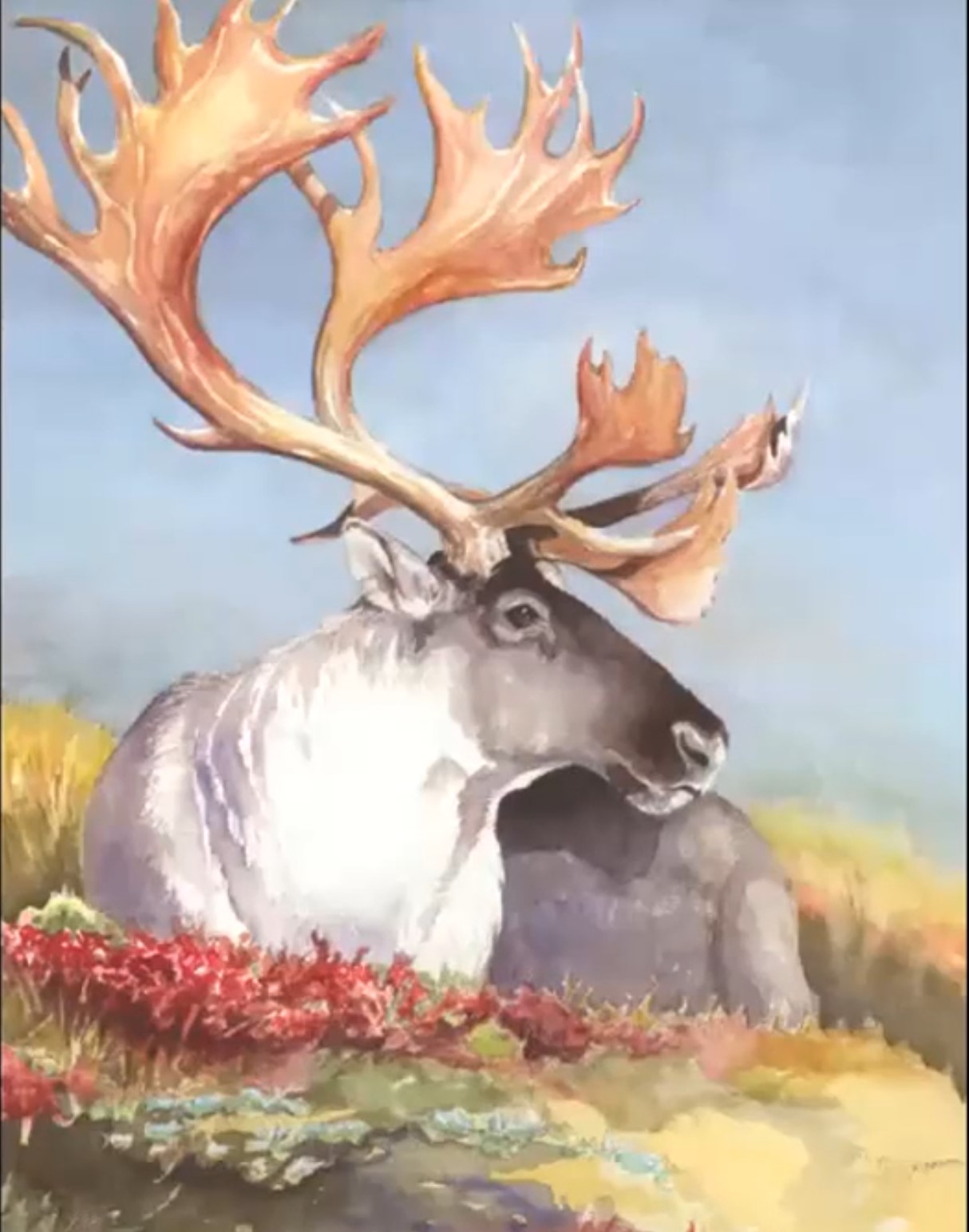 Online via Zoom: An Artist’s View of the Alaska National Wildlife ...