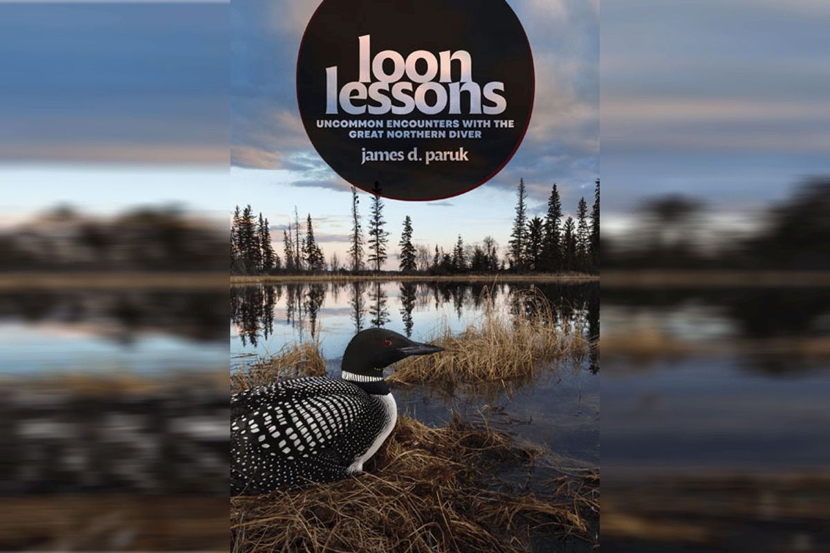 York County Audubon | A chapter of Maine Audubon and the National ...