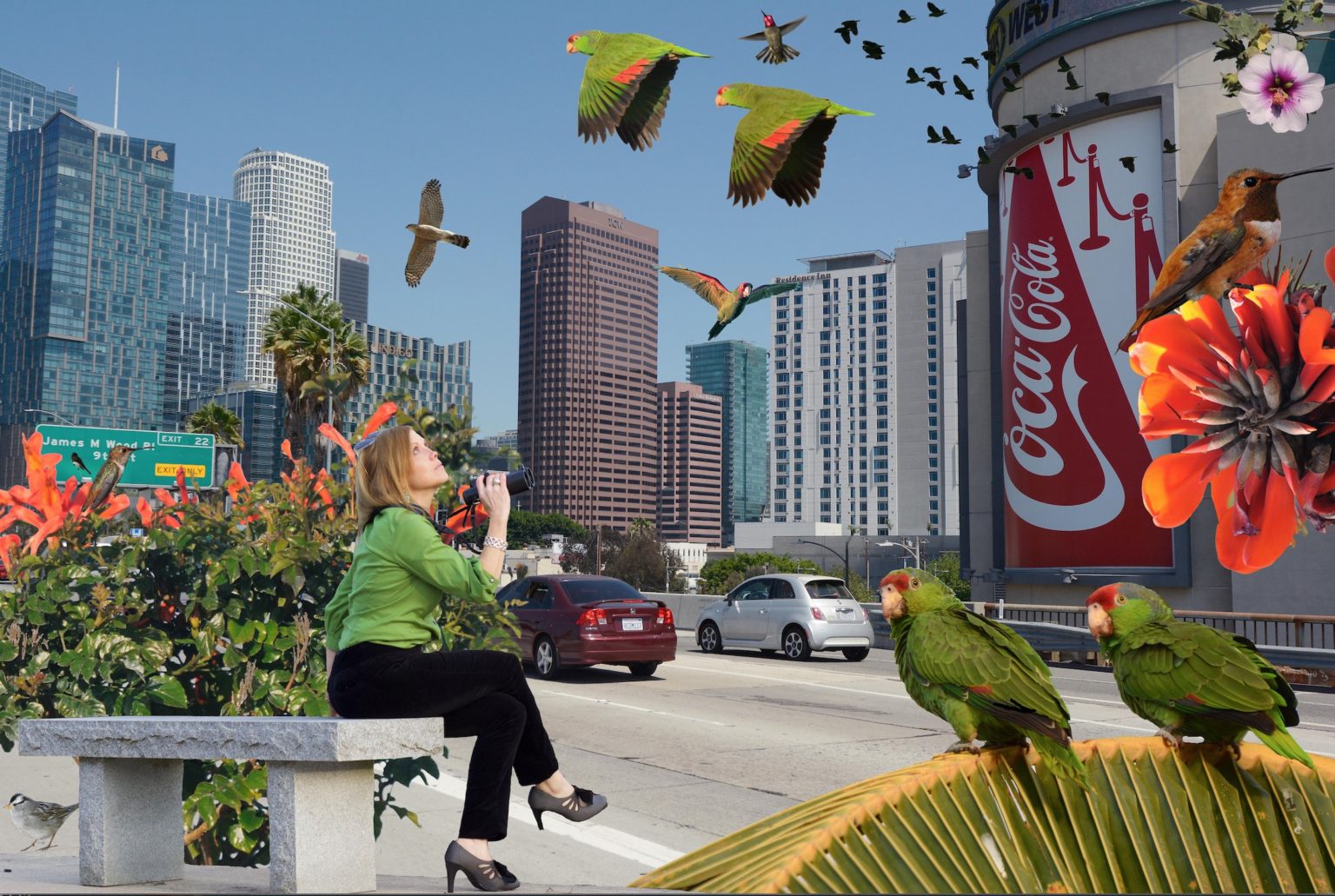 York County Audubon | A chapter of Maine Audubon and the National ...