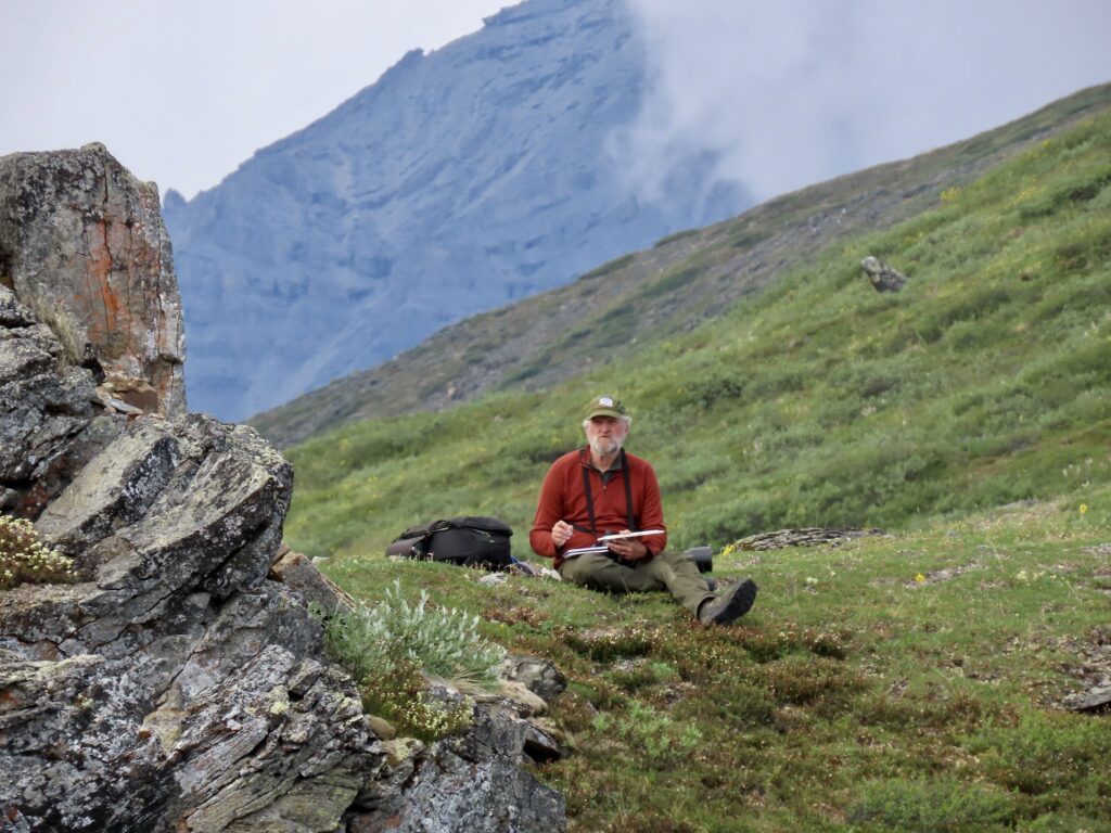 York County Audubon – The website for York County (Maine) Audubon