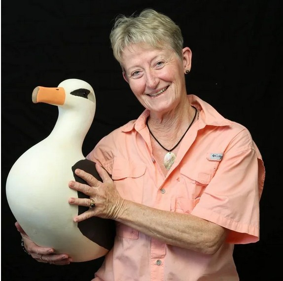 The Laysan Albatross with Hob Osterlund – Tuesday, March 31st by Zoom ...